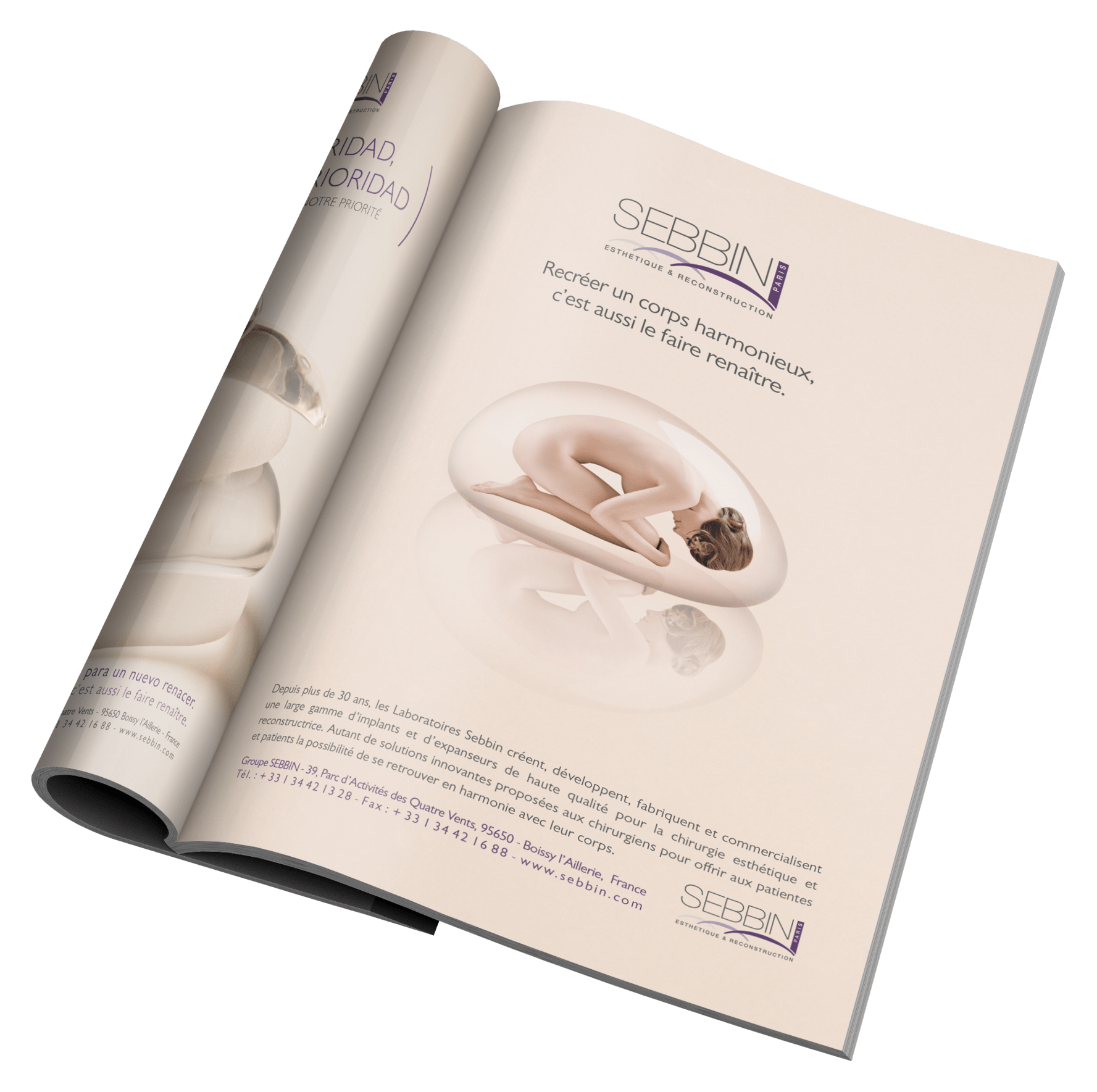 SEBBIN - Plate ou Gazeuse